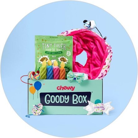 Pet Birthday Gifts For Dogs & Cats - Free Shipping | Chewy