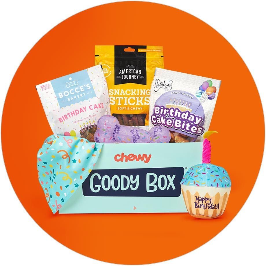 Pet Birthday Gifts For Dogs & Cats - Free Shipping | Chewy