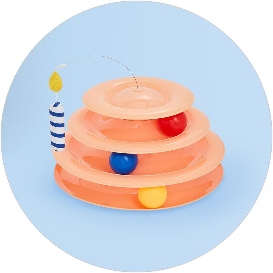 Pet Birthday Gifts For Dogs & Cats - Free Shipping | Chewy