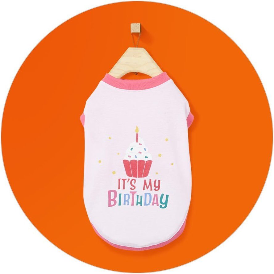 Pet Birthday Gifts For Dogs & Cats - Free Shipping | Chewy