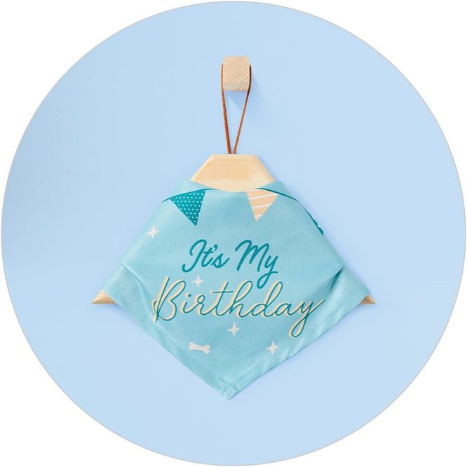 Pet Birthday Gifts For Dogs & Cats - Free Shipping | Chewy