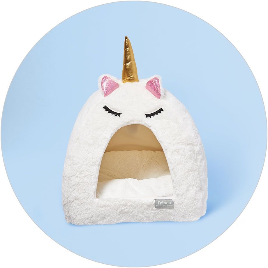 Pet Birthday Gifts For Dogs & Cats - Free Shipping | Chewy