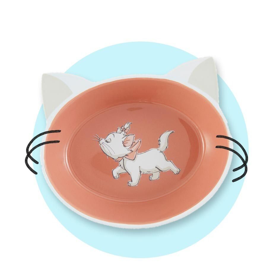 The Disney Collection at Chewy