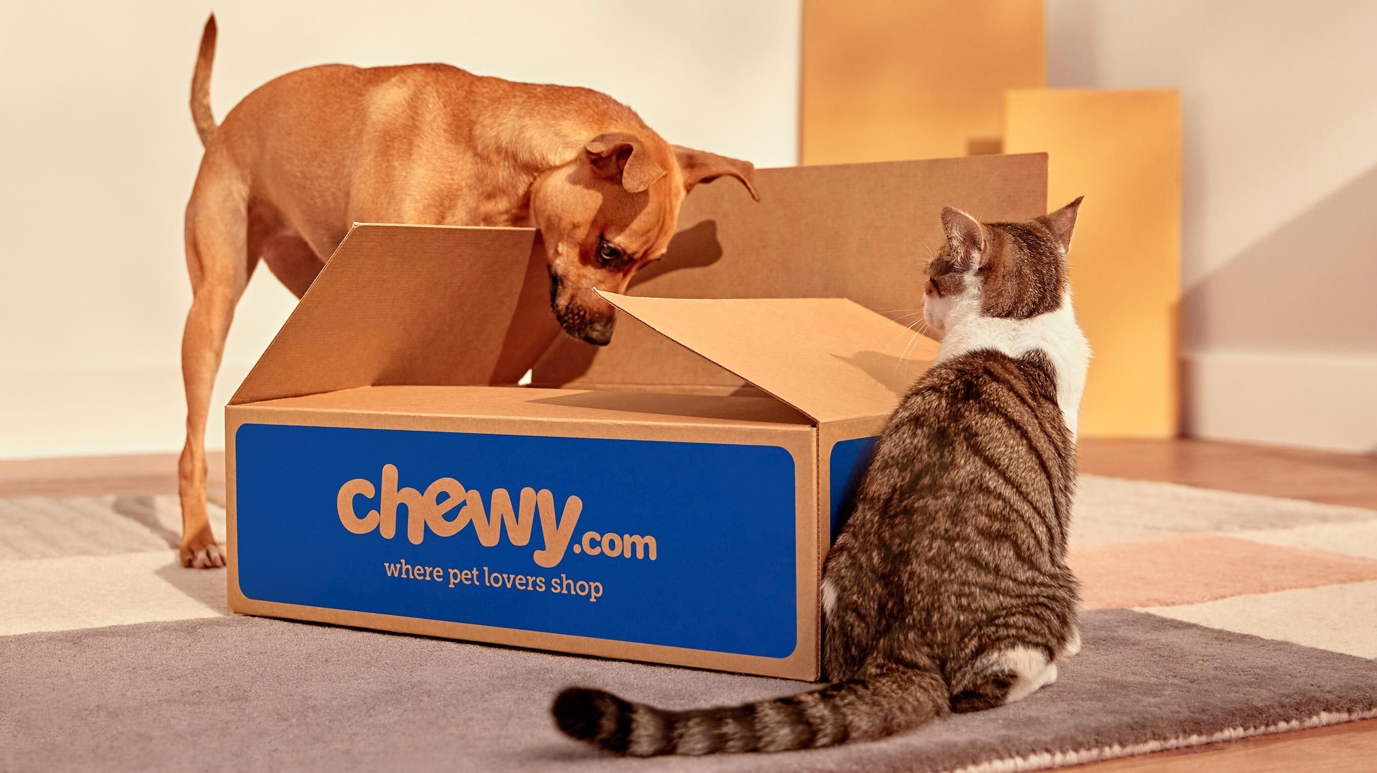 Autoship & Save - Free shipping | Chewy