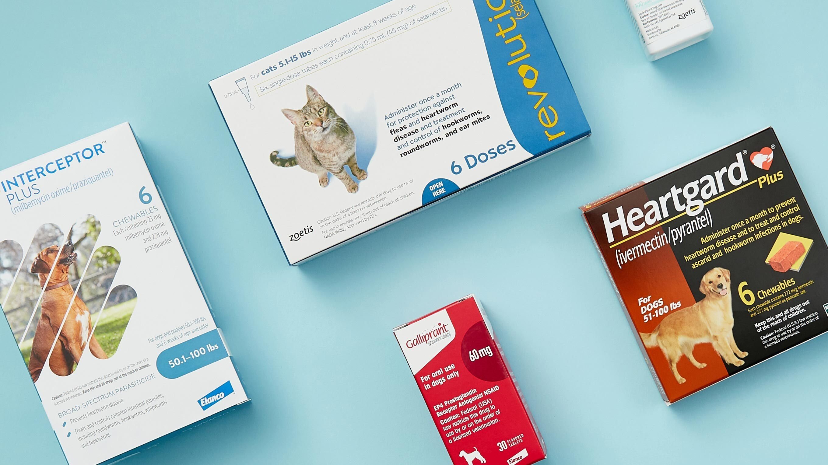 Autoship & Save - Free shipping | Chewy