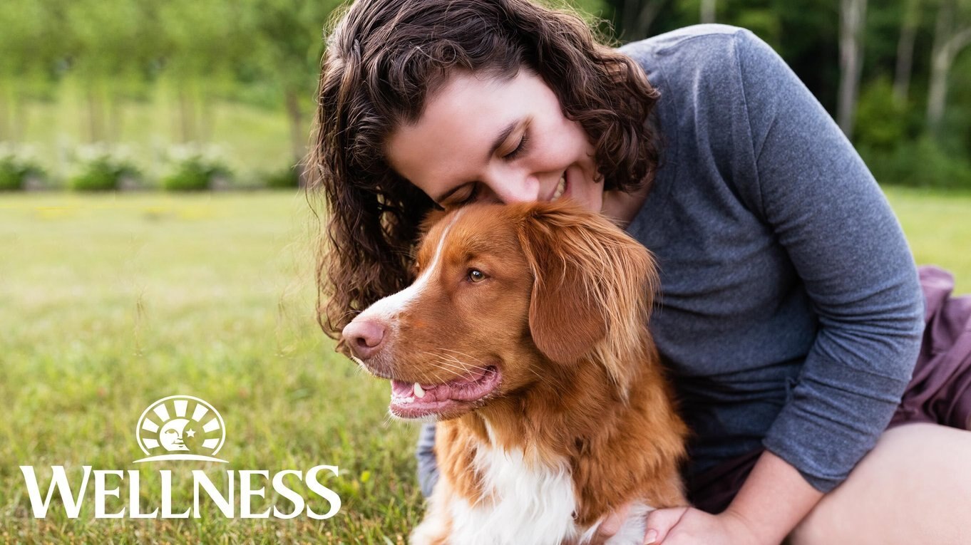 Wellness Pet Food - Free shipping | Chewy