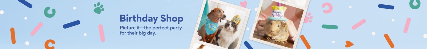Dog Birthday Supplies - Page 10 (Free Shipping) | Chewy
