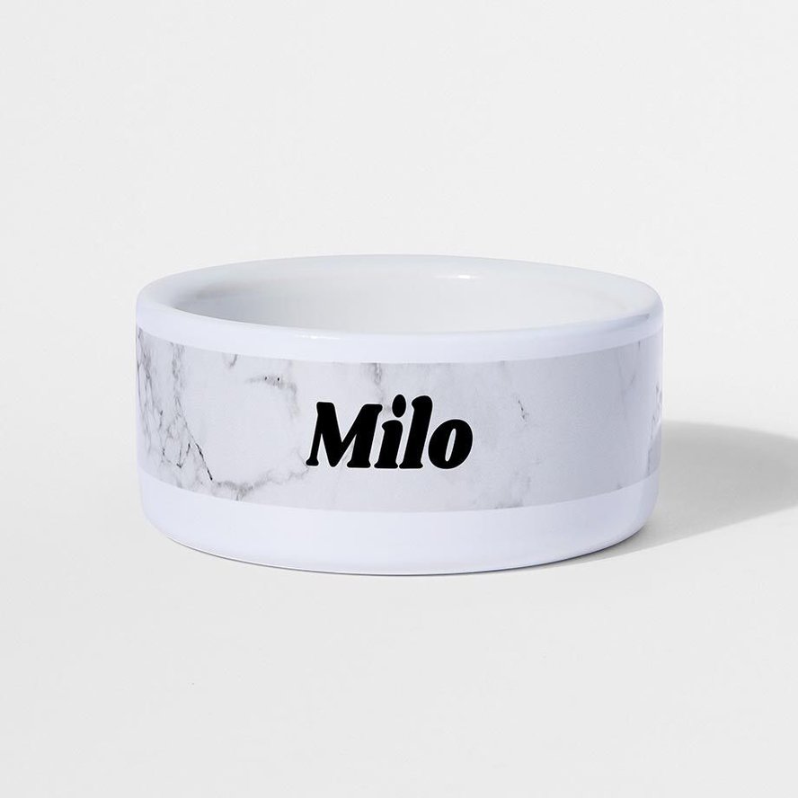 Custom Pet Gifts: Best Personalized Pet Products (Free Shipping) | Chewy