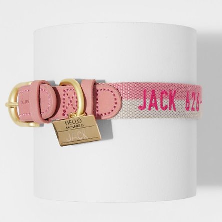 Custom Pet Gifts: Best Personalized Pet Products (Free Shipping) | Chewy