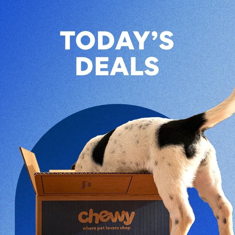 CHEWY DOG TREATS FOR LARGE DOGS (Free Shipping) | Chewy