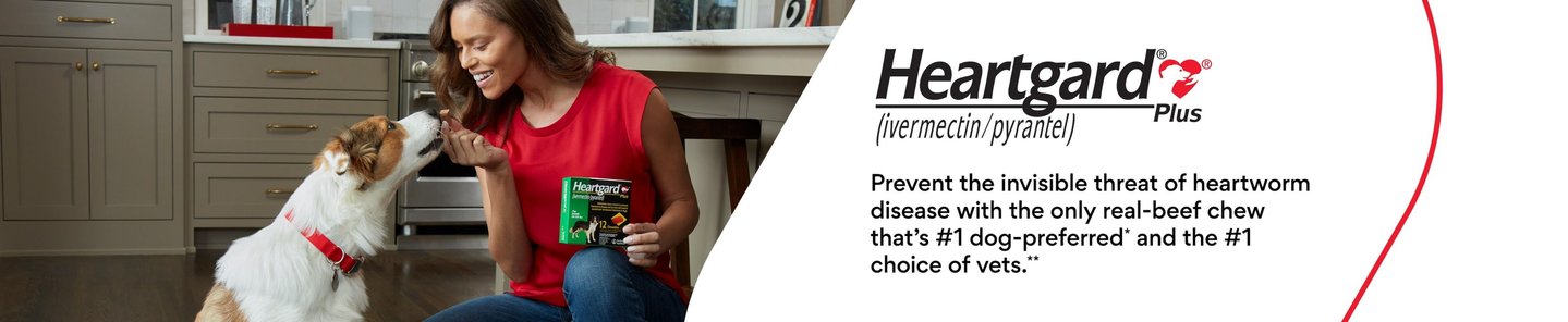 Heartgard: Heartworm Prevention (Free Shipping) | Chewy