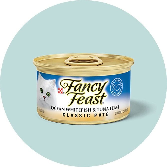 Fancy Feast Cat Food & Treats - Deals, Free Shipping | Chewy