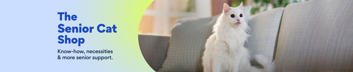 Senior Cat Shop - Free shipping | Chewy