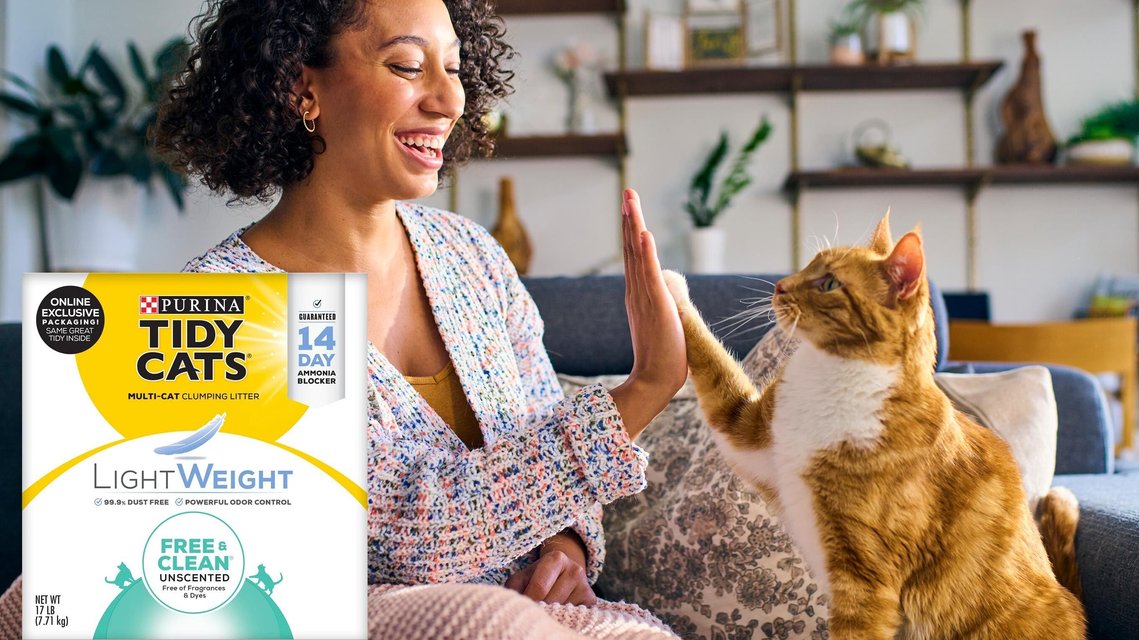 Tidy Cats: Cat Litter (Free Shipping) | Chewy