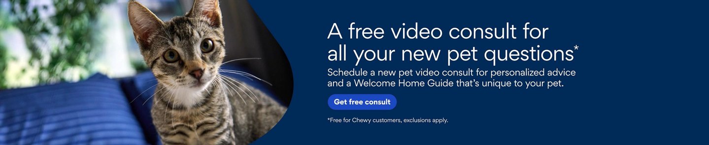 Connect With a Vet - Free Online Vet Chat | Chewy