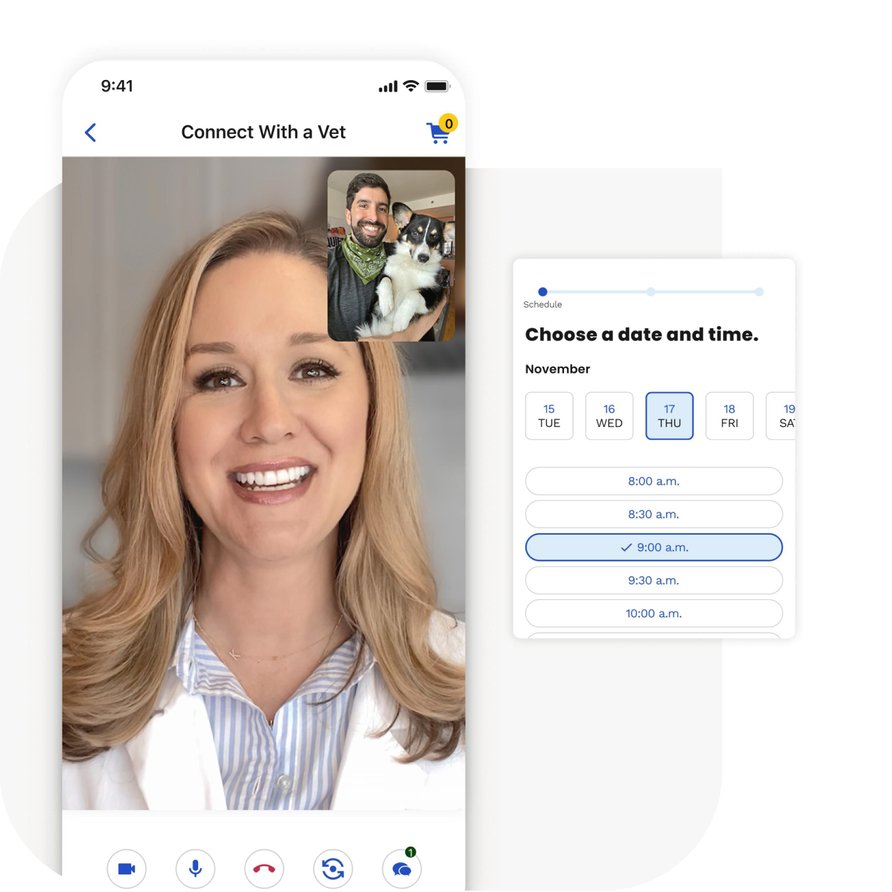 Connect With a Vet - Free Online Vet Chat | Chewy