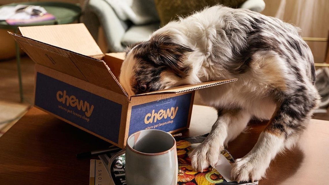 Pet Food, Products, Supplies at Low Prices - Free Shipping | Chewy.com