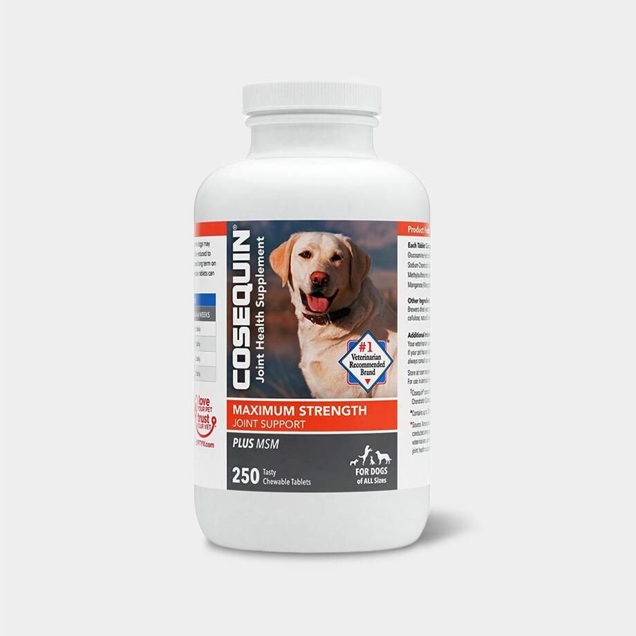 Dog Pain Relief & Arthritis - Free shipping | Chewy
