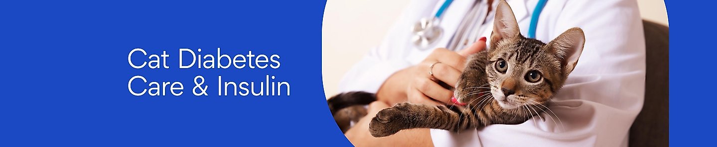 Diabetes Care & Insulin for Cats - Free shipping | Chewy