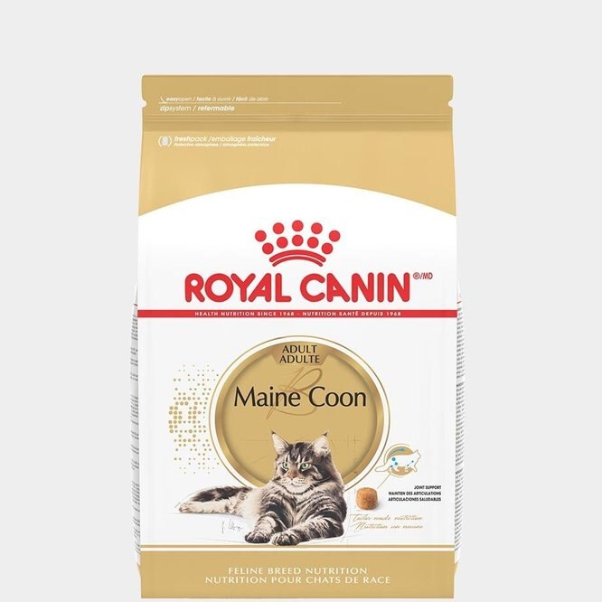 Royal Canin: Dog Food & Cat Food (Free Shipping) | Chewy