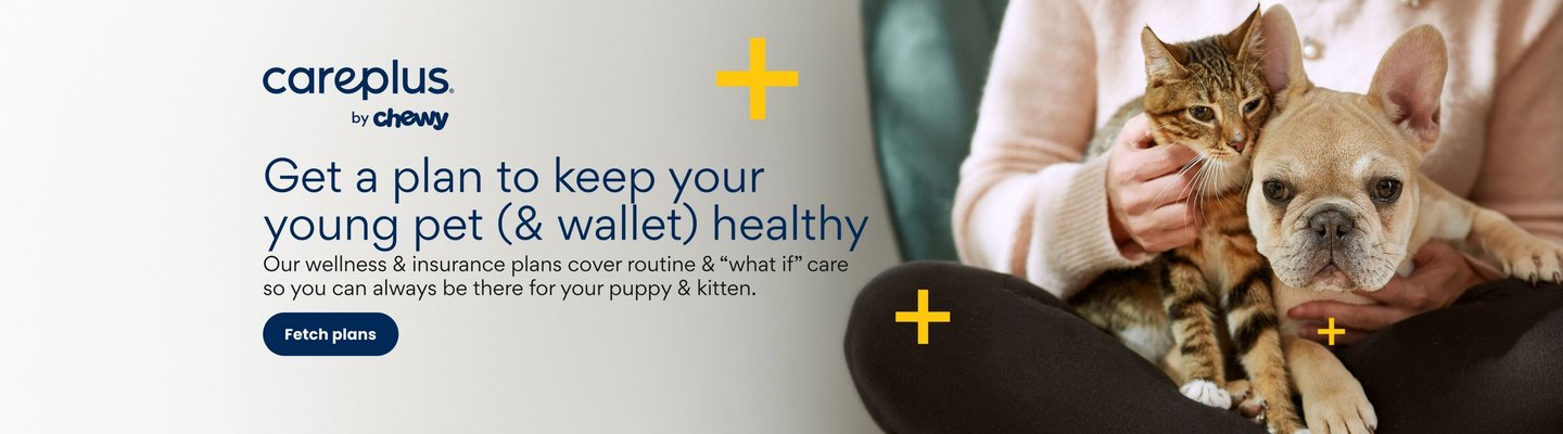 Insurance for Puppies & Kittens | CarePlus by Chewy
