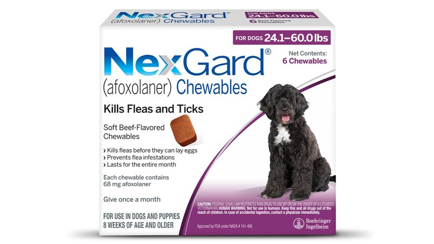 NexGard Brand Products - Free shipping | Chewy