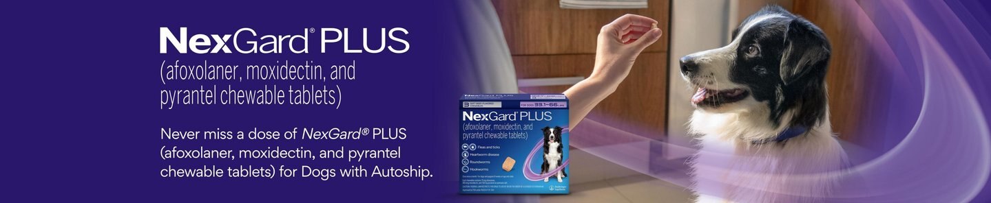 NexGard PLUS - Free shipping | Chewy