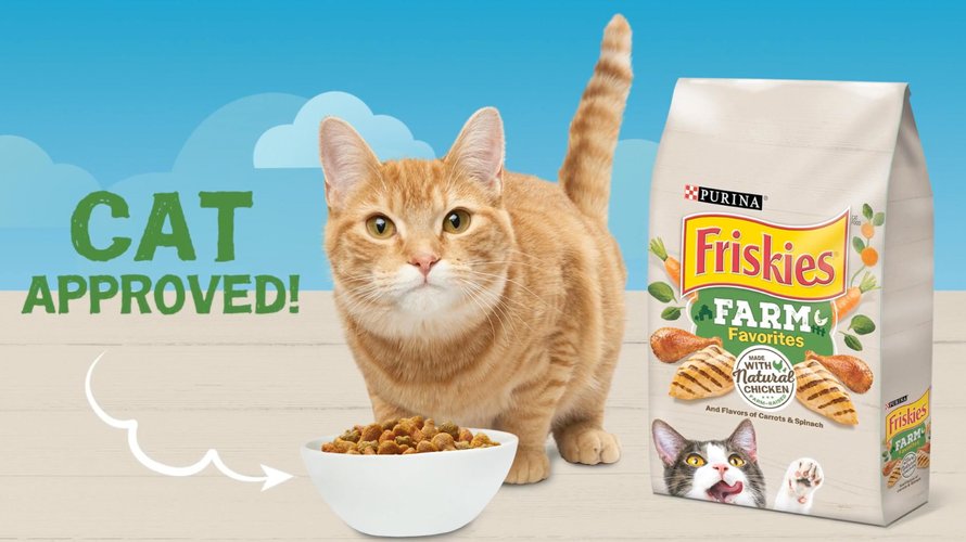Friskies Cat Food & Treats | Chewy