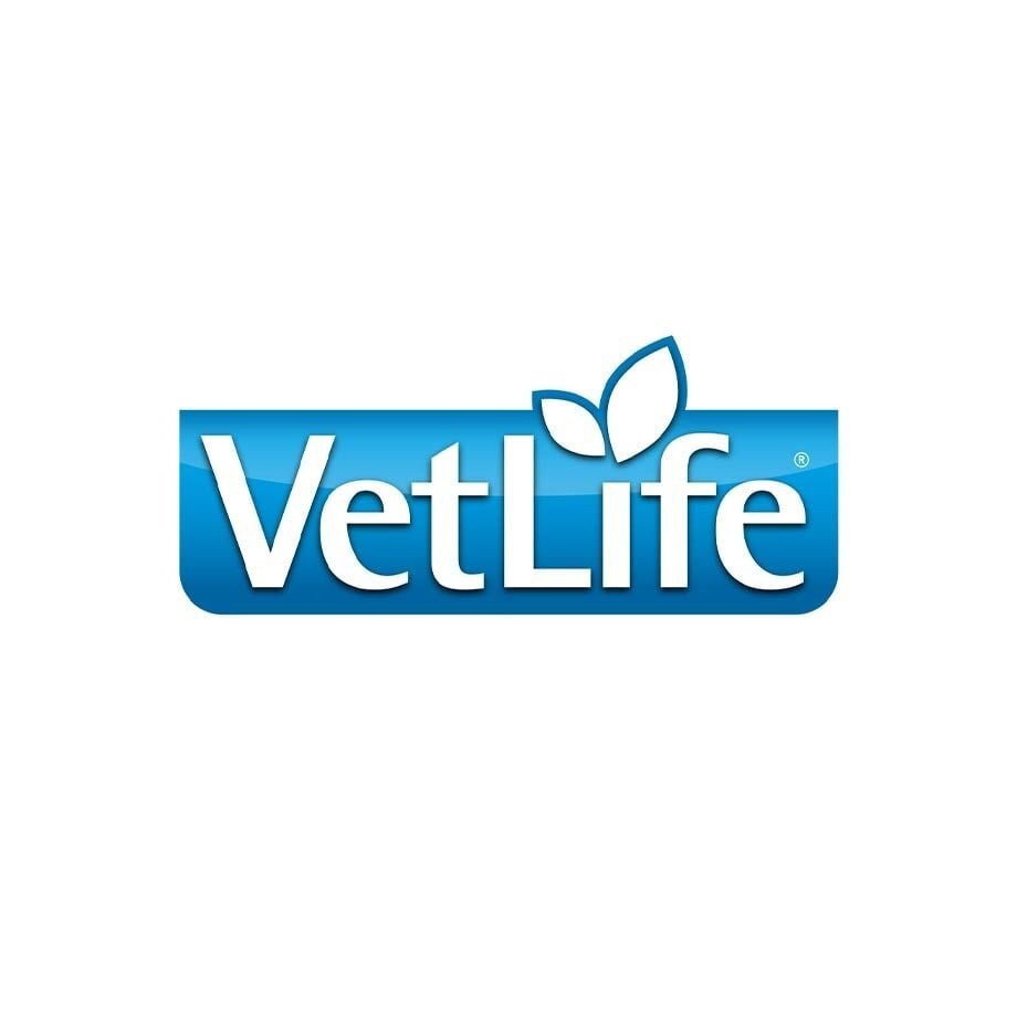 Prescription Dog Food: Vet Recommended (Free Shipping) | Chewy