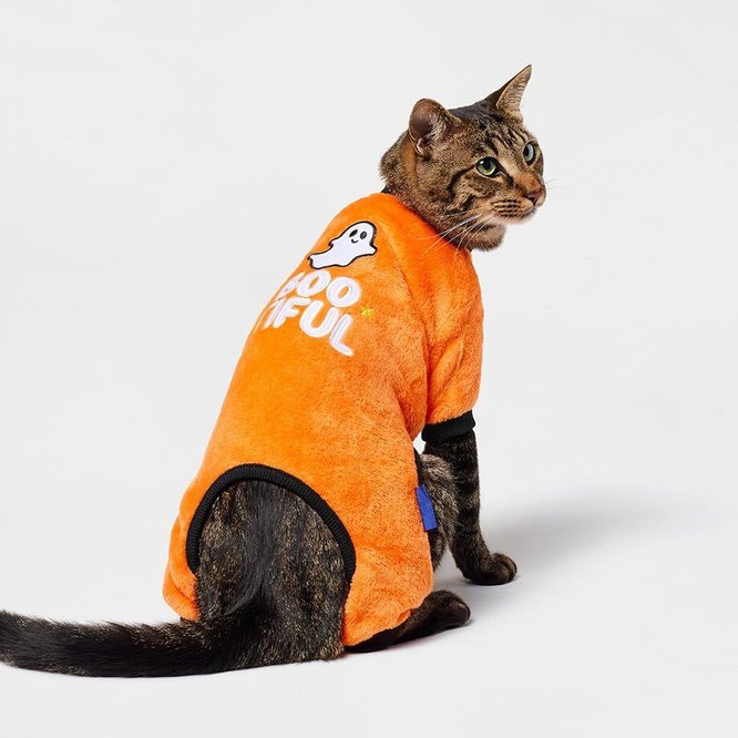 Cat Halloween Shop: Costumes, Treats & More (Free Shipping) | Chewy