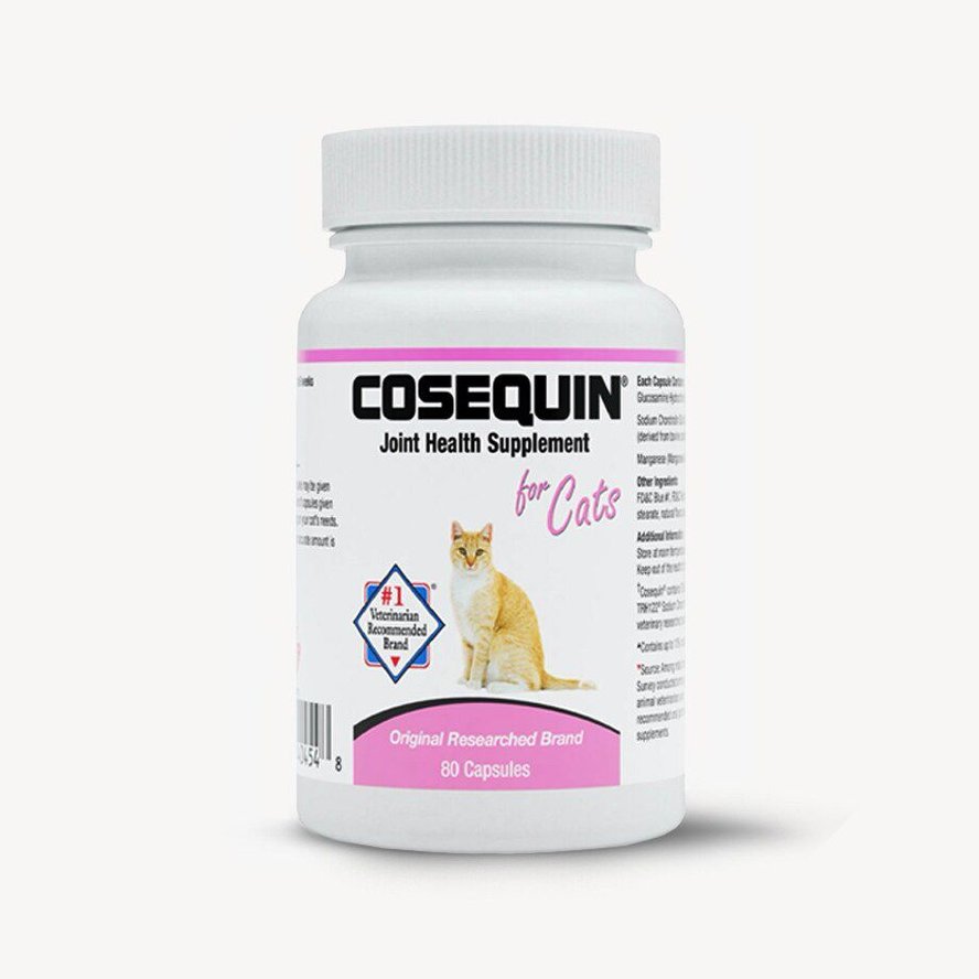 Cat Vitamins & Supplements: Best Cat Supplements (Free Shipping) | Chewy