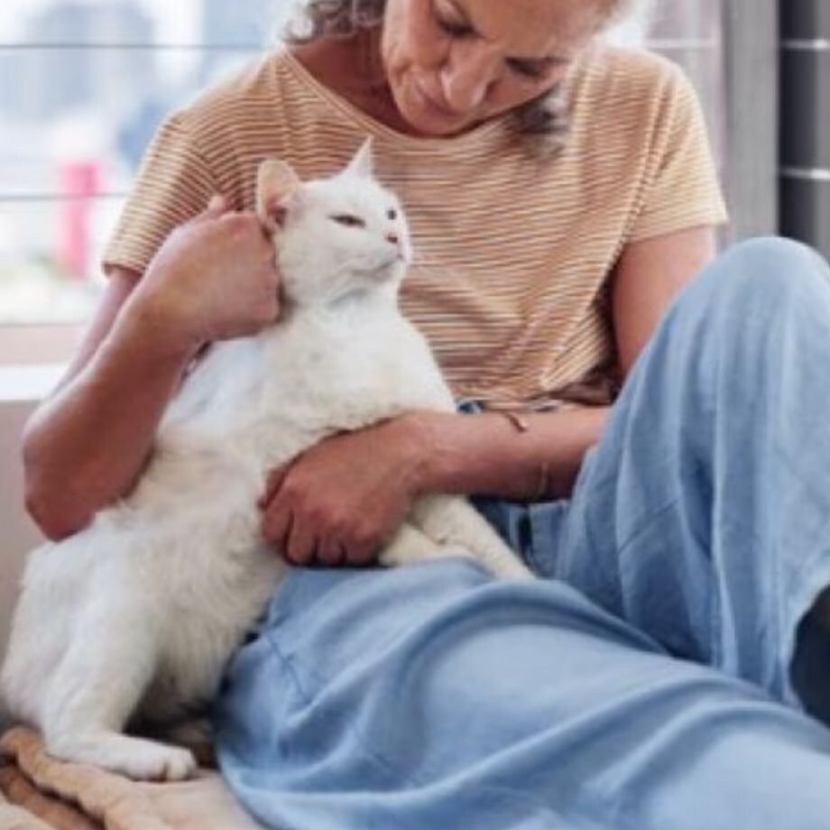 Free Vet Team Chat - Skin Issues | Chewy