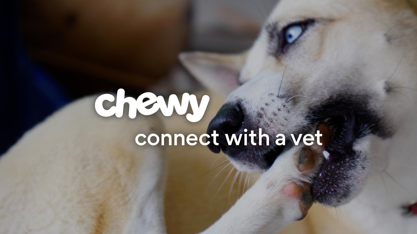 Pet Food, Products, Supplies at Low Prices - Free Shipping | Chewy.com