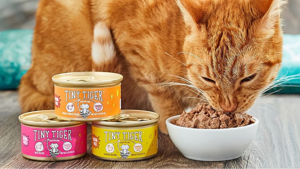 Wet Cat Food - Healthiest Wet Cat Food Brands | Chewy