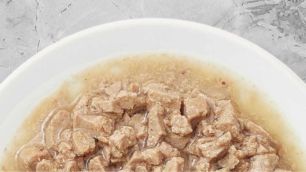 Wet Cat Food - Healthiest Wet Cat Food Brands | Chewy