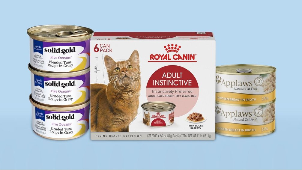 Wet Cat Food - Healthiest Wet Cat Food Brands | Chewy
