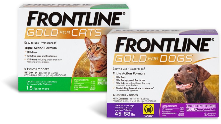 Frontline: Flea & Tick Treatment (Free Shipping) | Chewy
