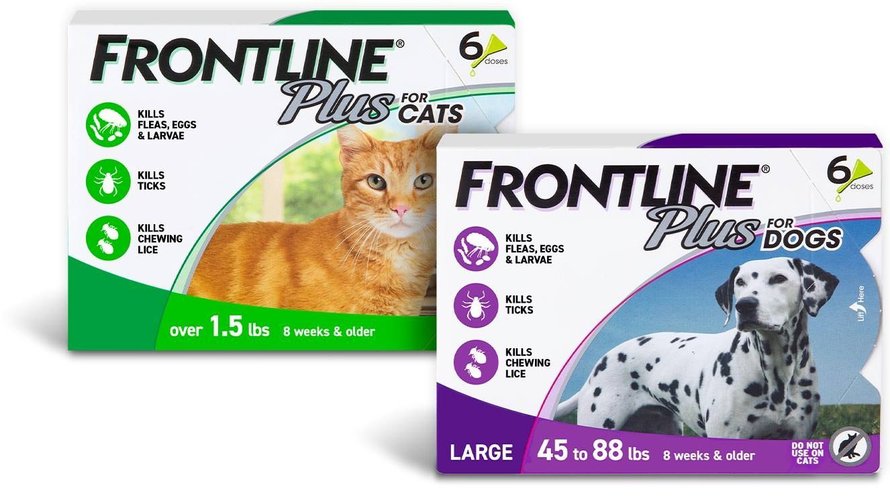 Frontline: Flea & Tick Treatment (Free Shipping) | Chewy
