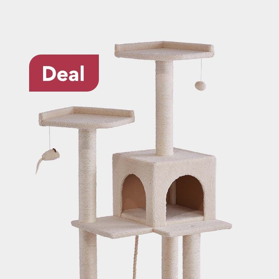 Cat Deals - Page 3 (Free Shipping) | Chewy