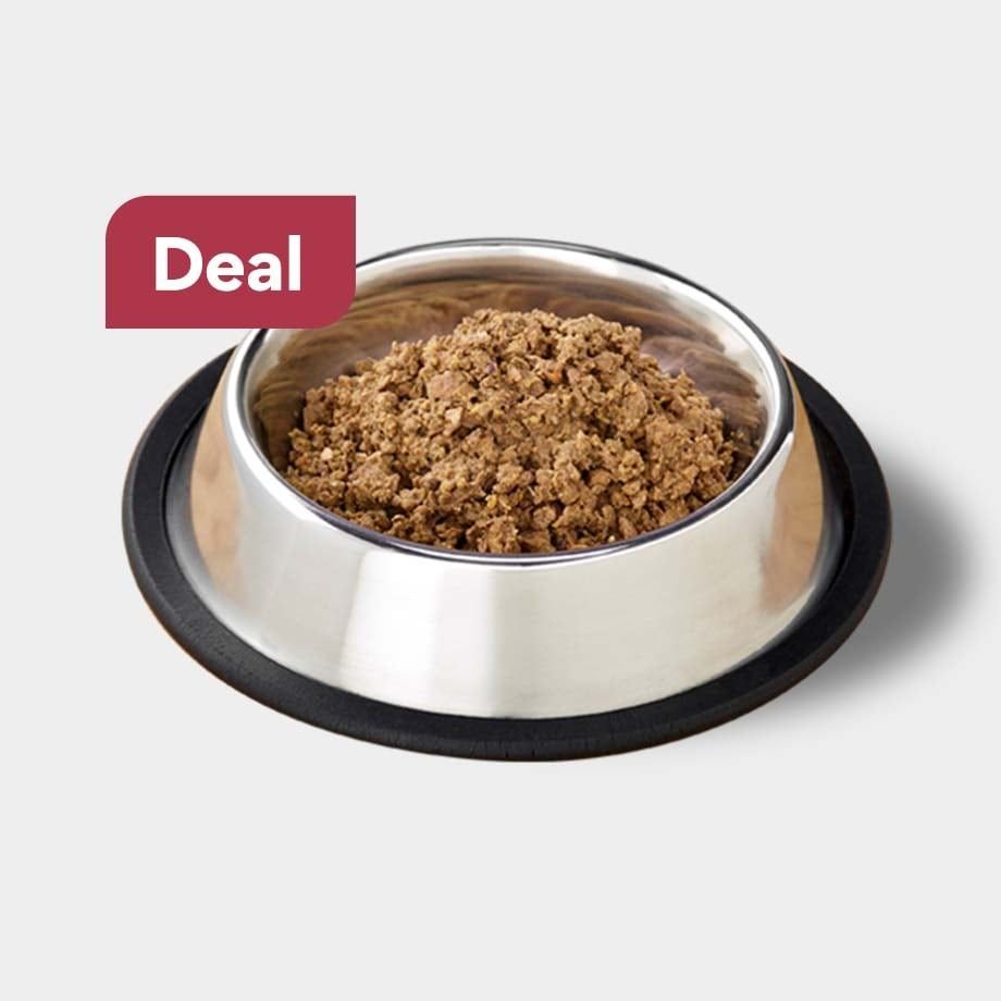 Dog Supplies On Sale: Discount Dog Supplies - Free Shipping | Chewy