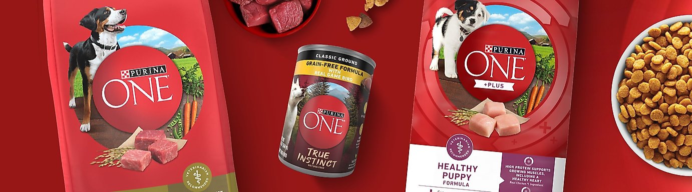 Purina ONE Dog & Cat Food (Free shipping) | Chewy