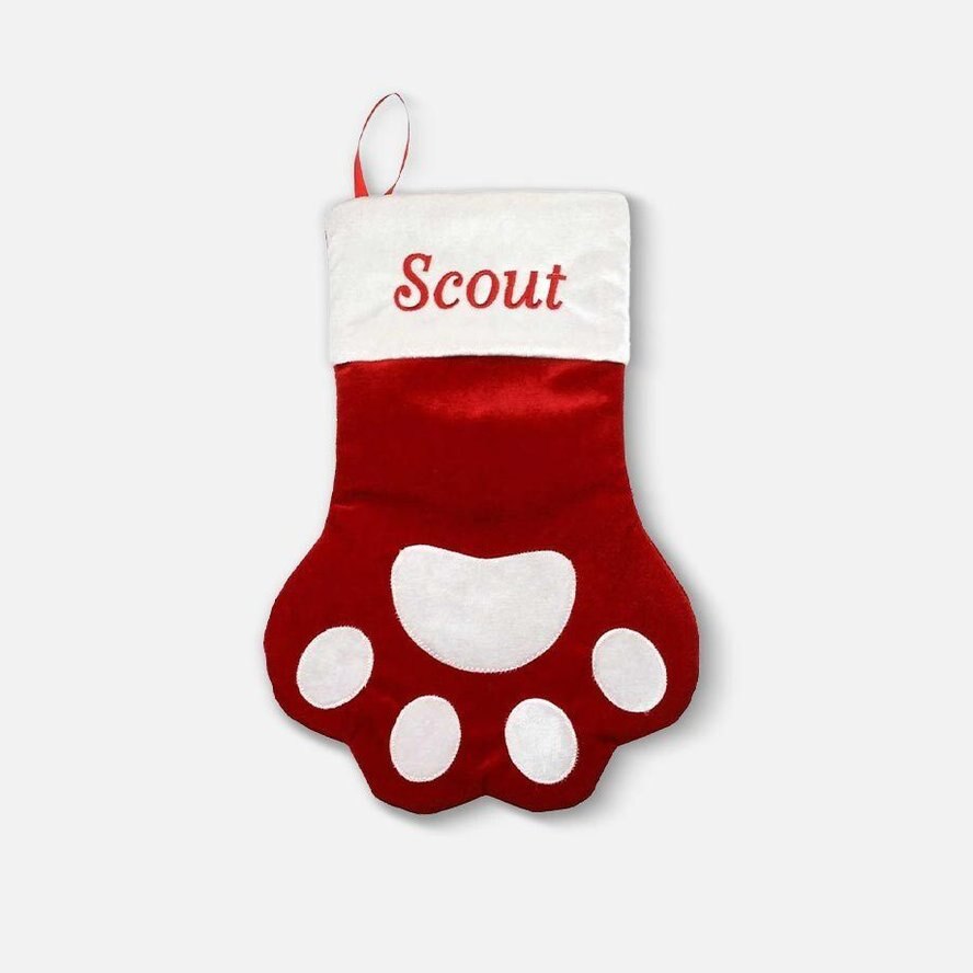 Custom Pet Gifts: Best Personalized Pet Products (Free Shipping) | Chewy