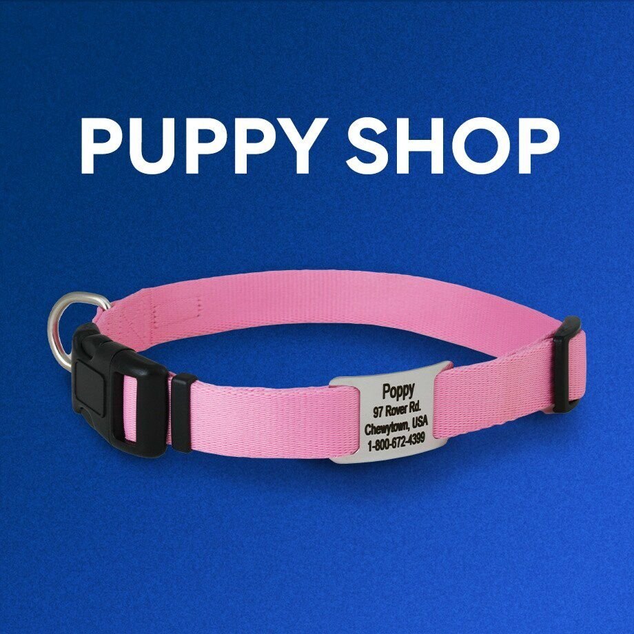 RED DOG LEASHES & COLLARS (Free Shipping) | Chewy