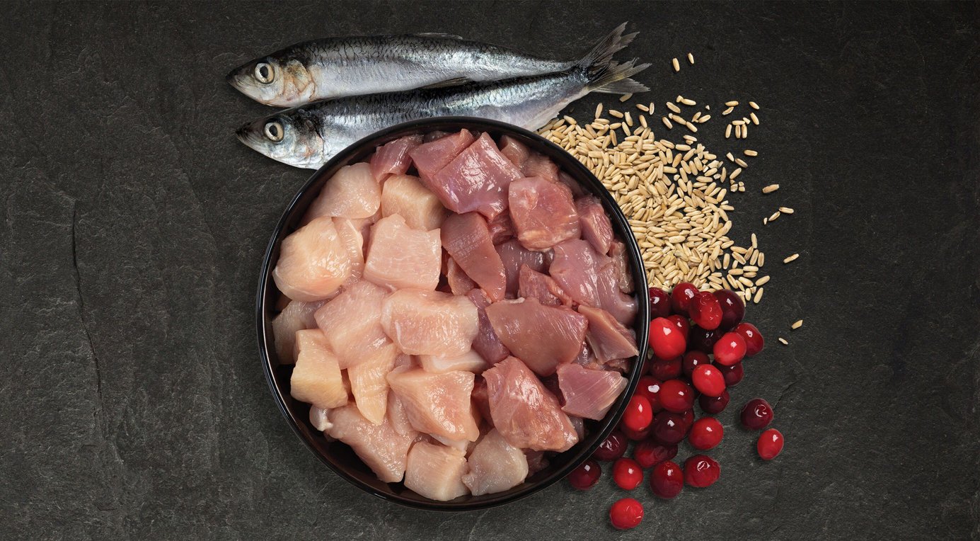ACANA Bountiful Catch Salmon Catfish & Herring Dry Cat Food, 4-lb bag ...