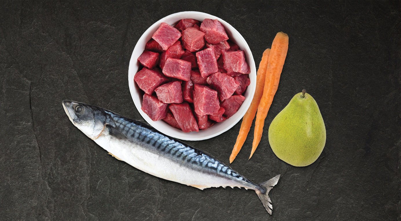 ACANA Ranch-Raised Beef Morsels Grain-Free High-Protein Freeze-Dried ...