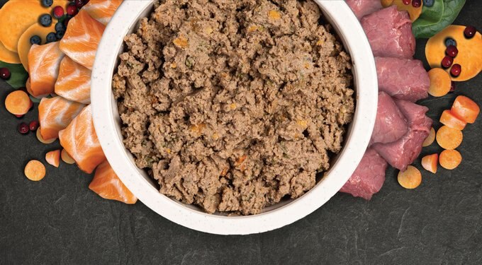 ACANA Premium Adult High-Protein Beef Recipe in Bone Broth Pate Wet Dog ...