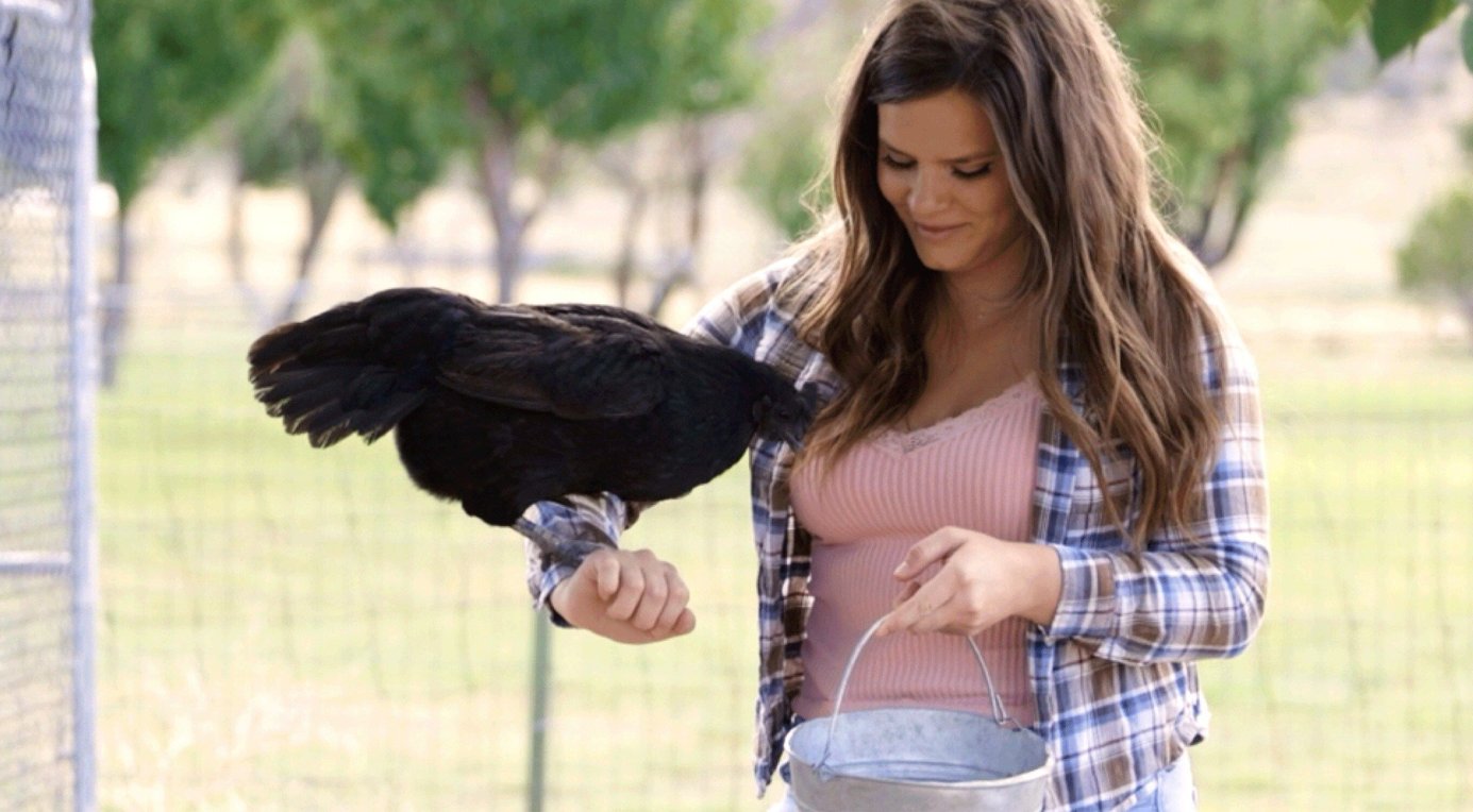 BLUEBONNET FEEDS Poultry & Game 30% Protein Crumble Bird Food, 50-lb ...