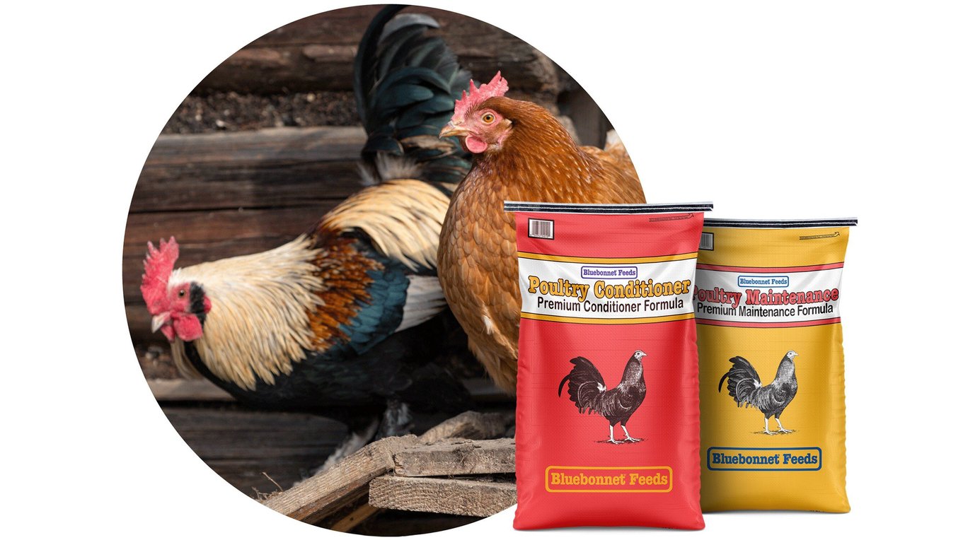 BLUEBONNET FEEDS Poultry Conditioner 16% Protein Premium Formula Grain ...