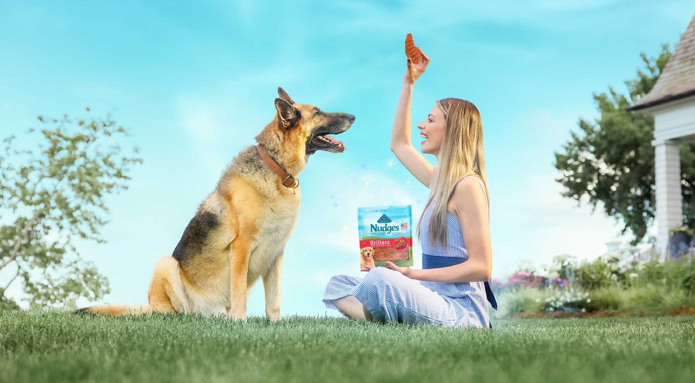 BLUE BUFFALO Nudges Grillers Chicken Dog Treats, 16-oz bag - Chewy.com