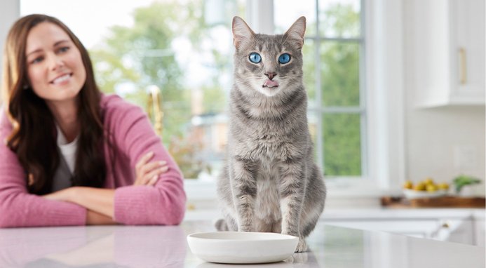 BLUE BUFFALO Tastefuls Adult Natural Purees Salmon Wet Cat Food, 3-oz ...